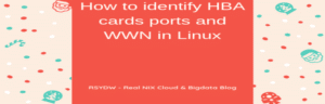 How to Find WWN Number in Linux | RSY Digital World